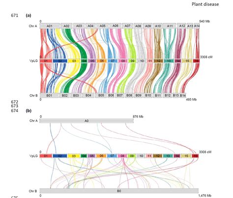 First [[vanilla Planifolia]] High Density Genetic Linkage Map Provides
