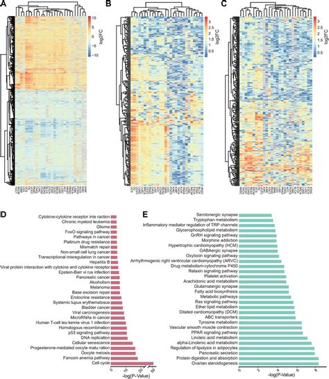 Frontiers Identification Of Potential Biomarkers For Pan Cancer
