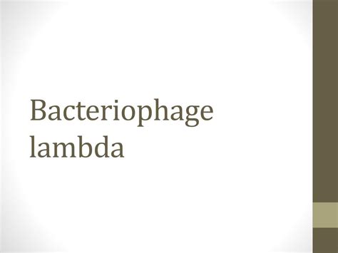 Ppt Bacteriophage Powerpoint Presentation Free Download Id 1928139