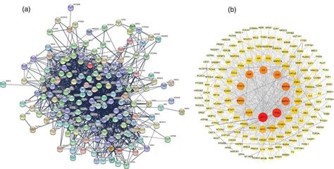Mcode Cluster Analysis Mcode Molecular Complex Detection Download