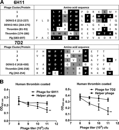 Epitope Analysis Of Mabs 6h11 And 7d2 A Consensus Sequence Analysis