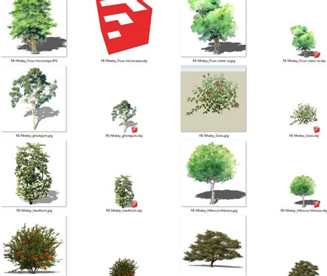 5899 Free Sketchup Trees Model Download