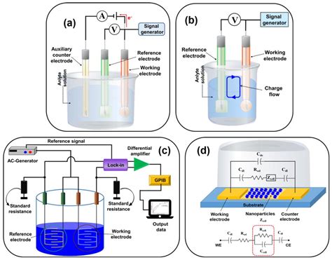 Sensors Free Full Text A Review On Biosensors And Recent