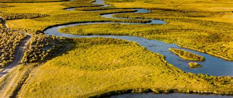 next js firebase authentication and middleware for api