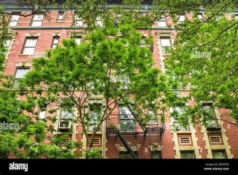 Typical New York City Brick Apartment Building In Spring Surrounded By