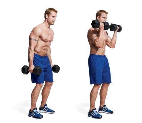 10 Best Bicep Curl Variations To Build Muscle Mens Journal