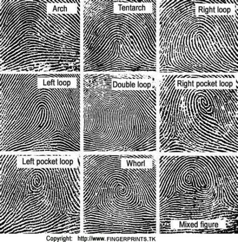 a survey of biometrics security systems