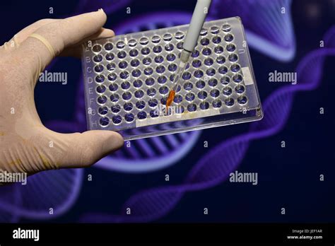 Dna Testing In Genetic Laboratories Biological Scientific Equipment