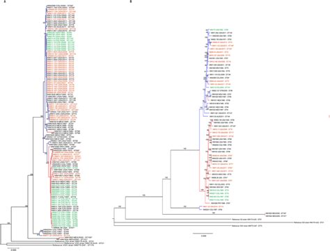 Dendrogram Showing The Genetic Relationships Between 122 Cryptococcus