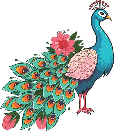 Stunning Peacock Vector Art Unleash Vibrant Colors And Exquisite