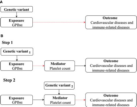Schematic Diagram Of A Standard Mendelian Randomization Mr Analysis