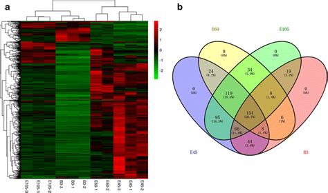 Analyses Of Differentially Expressed Lncrnas In The Rna Seq Libraries