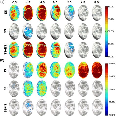 Spatiotemporal Cbf Responses To Multi Afferent Stimulations Were