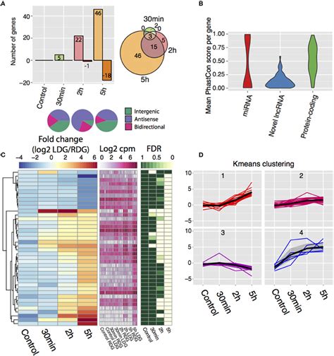 Frontiers Dynamic Expression Of Long Noncoding Rnas And Repeat