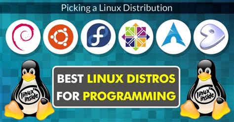 10 best linux distros for programmers and developers