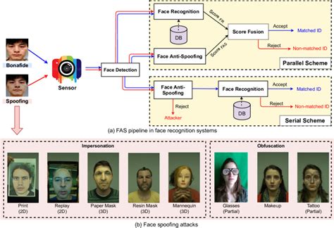 Typical Face Spoofing Attacks And Face Anti Spoofing Pipeline A Fas