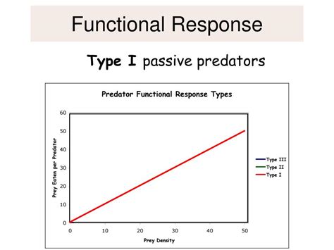 Ppt Exams Powerpoint Presentation Free Download Id 1176784