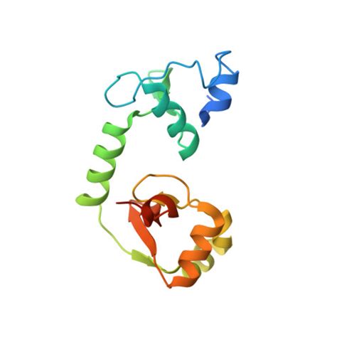 Rcsb Pdb 6siv Structure Of Hpv16 E6 Oncoprotein In Complex With