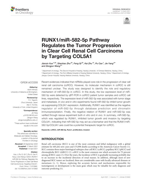 Pdf Runx1 Mir 582 5p Pathway Regulates The Tumor Progression In Clear