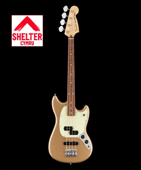 Fender Mustang Bass Guitar
