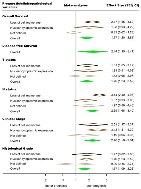 Forest Plot Aka Forest Top Plot Graphically Representing The Effect