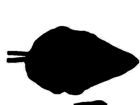how remove binary image noise in opencv