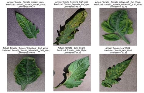 Test Result In Leaf Disease Detection By Our Dclr Method Download