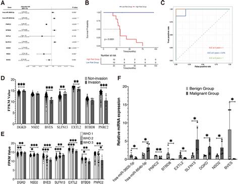 Identification And Validation Of Nine Mprgs Based Prognostic Factors