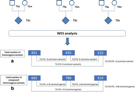 Flowchart Of Wes Whole Exome Sequencing Analysis T1 T2 T3 Design