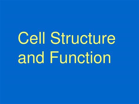 Ppt Cell Structure And Function Powerpoint Presentation Free