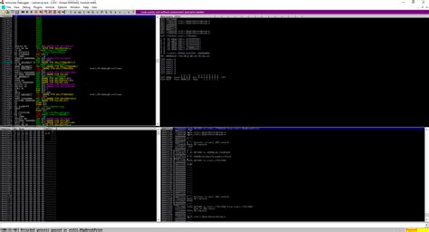 buffer overflow steps spiking and fuzzing