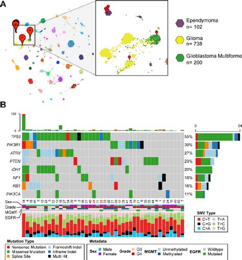 Figure 2 From A Functional Precision Medicine Pipeline Combines