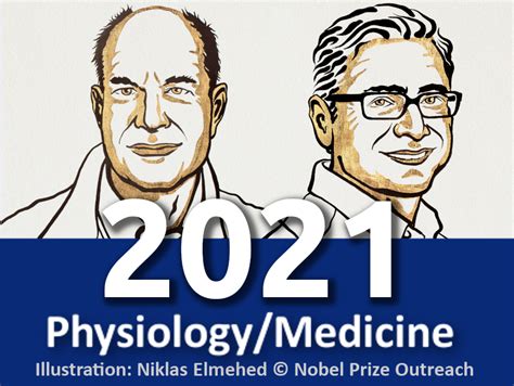Nobel Prize In Physiology Or Medicine 2021 Chemistryviews
