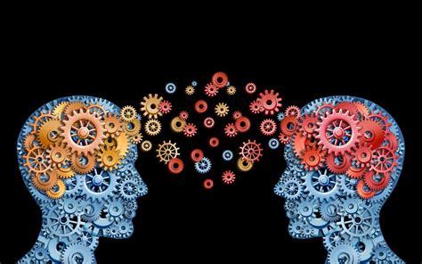 how to expand your knowledge