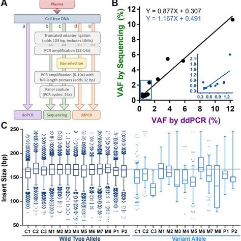 Detection Of Variant Alleles In Ccfdna Flowchart A Depicting Steps