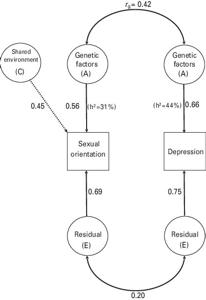 Correlated Factors Model For Sexual Orientation And Lifetime