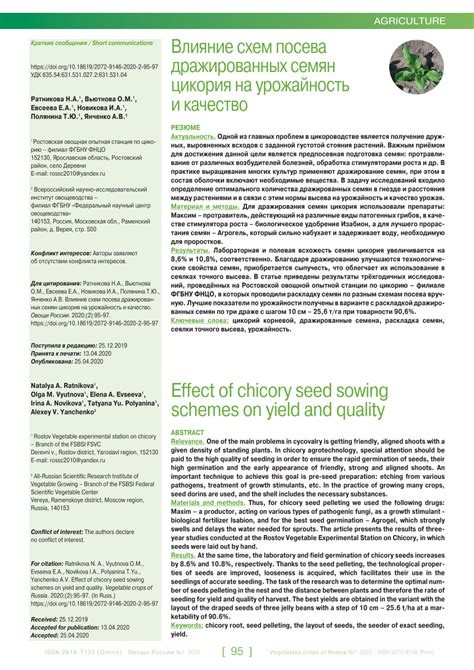 Pdf Effect Of Chicory Seed Sowing Schemes On Yield And Quality