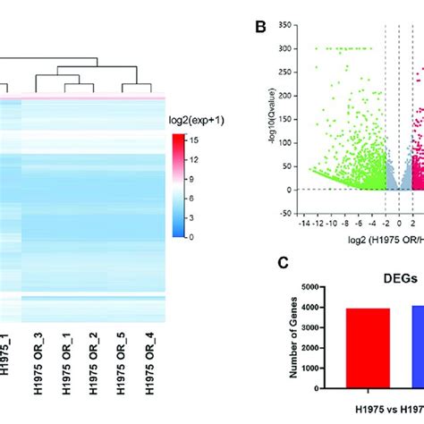 Rna Seq Identified The Degs In Osi Resistant Nsclc Cells A The