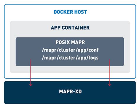 how to connect localhost from inside a docker container compose with