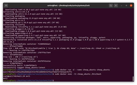docker containers carles mateo