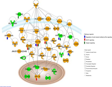 Interactive Pathway Networks Of Dysregulated Transcripts In