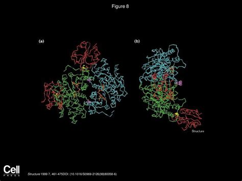 Chloroplast Nadp Malate Dehydrogenase Structural Basis Of Light