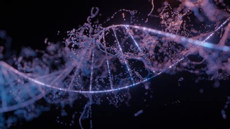 Dna Denaturation