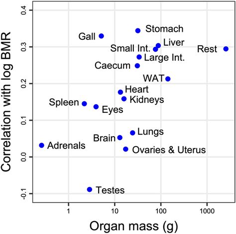 Correlation Between Mean Organ Tissue Mass And Bmr Log10 Download