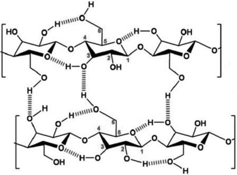 Structural Formula Of Cellulose Download Scientific Diagram