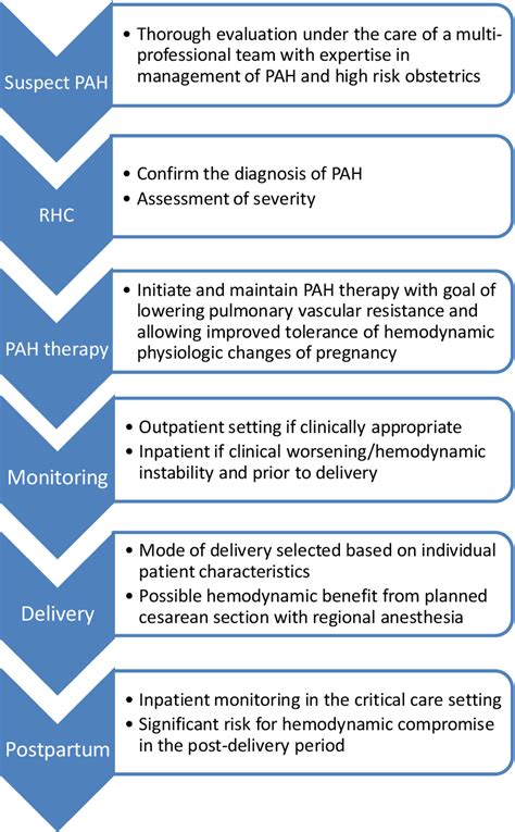 Figure 1 From Pregnancy And Pulmonary Arterial Hypertension Semantic