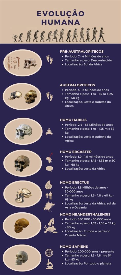 Evolução Humana Características E Diferenças Das Principais Fases