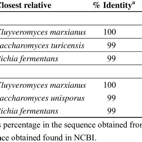 Classification Of Yeast Strains Isolated From Kefir Grains A And
