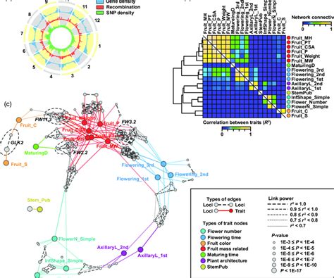 Dissection Of Trait Correlation Using A Trait Locus Network A
