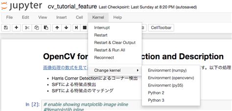 condaで作ってる仮想環境の切り替えをjupyter上で簡単に行う方法 python qiita